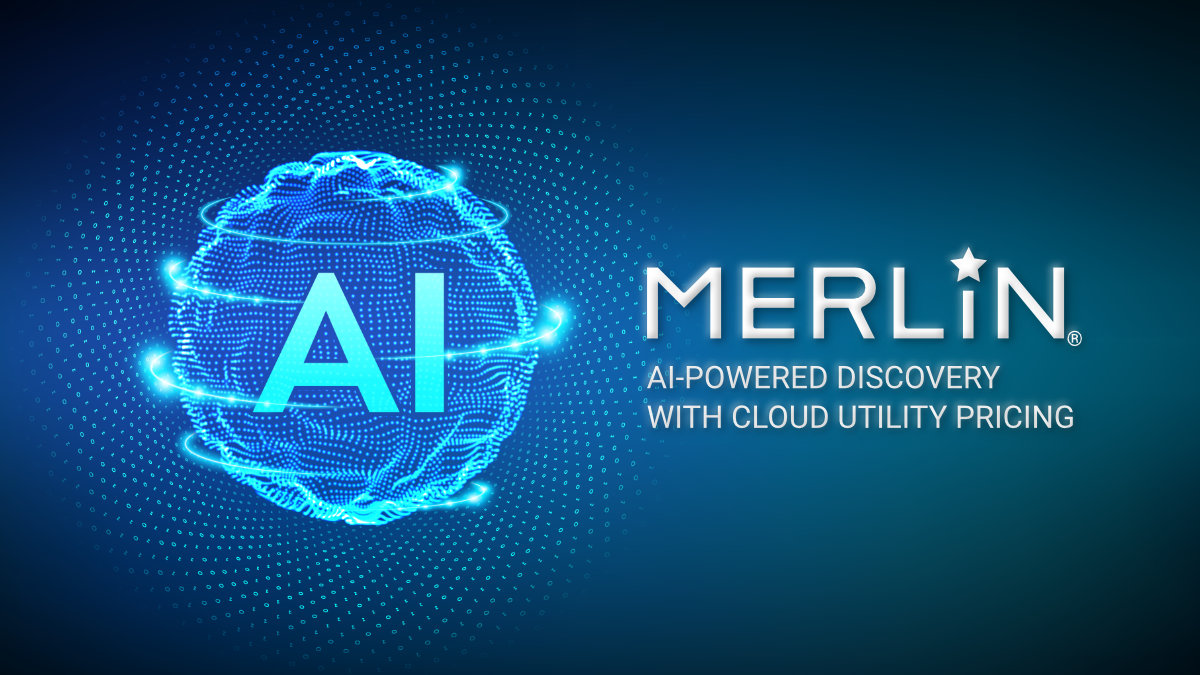 Merlin Pricing: Unlocking Affordable Magic for Your Business ...